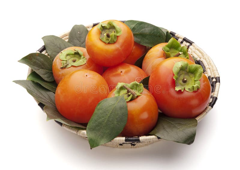 Persimmons drying stock photo. Image of line, dessert - 7671776