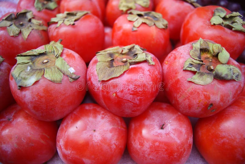 Red persimmon stock image. Image of fresh, landscape - 16346199