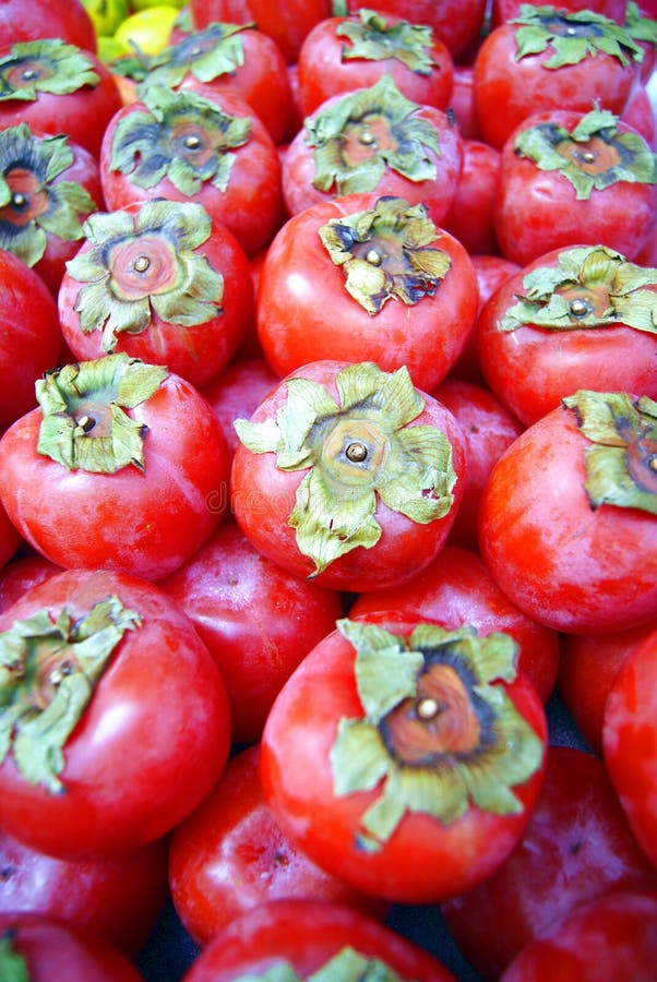 Red persimmon stock image. Image of fresh, landscape - 16346199