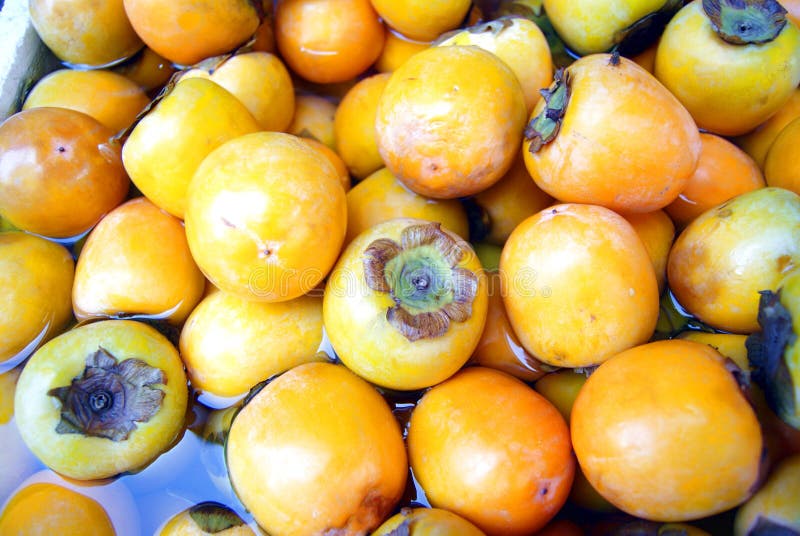 Red persimmon stock image. Image of fresh, landscape - 16346199