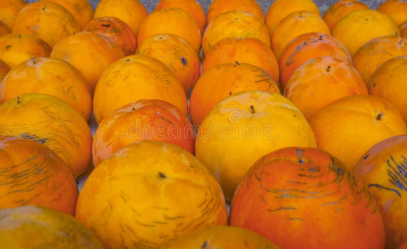 Persimmon. Color image stock photo. Image of orange, luminosity - 62508024