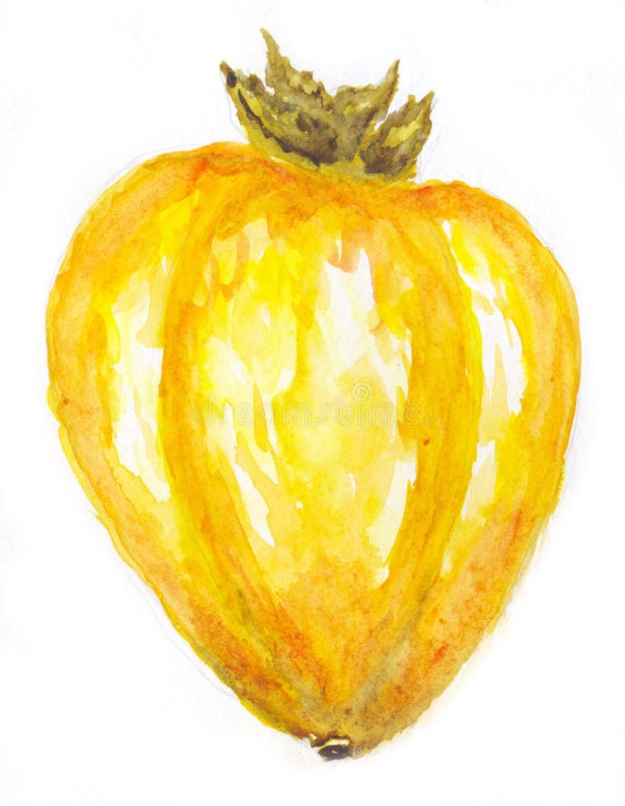 Persimmon fruit art stock photo. Image of drawing, summer - 232501950