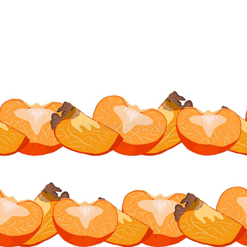 Persimmon Hand Drawn Seamless Horizontal Border Vector Illustration ...