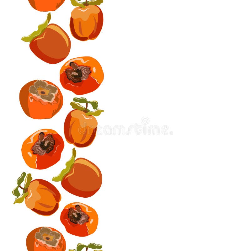 Persimmon Hand Drawn Seamless Vertical Border Vector Illustration Stock ...
