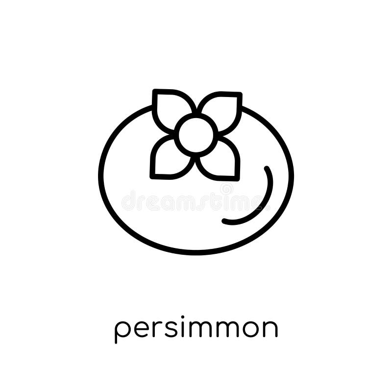 Persimmon Linear Icon. Modern Outline Persimmon Logo Concept on Stock ...