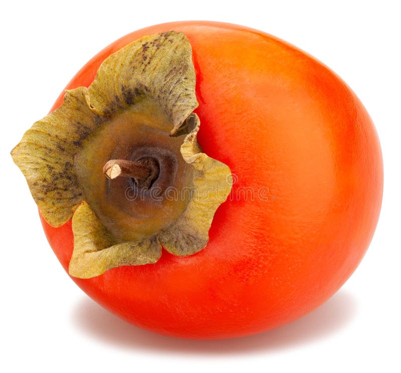 Persimmon stock photo. Image of food, shiny, bright - 190815512