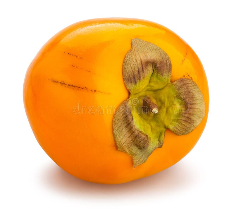 Persimmon stock photo. Image of diet, leaves, fruits - 105086418