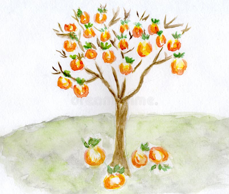 Persimmon tree art stock illustration. Illustration of plant - 233584225