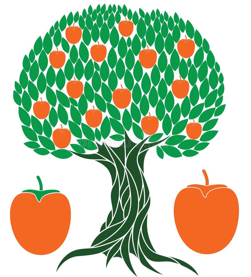 Persimmon tree stock vector. Illustration of nature, tree - 49076083