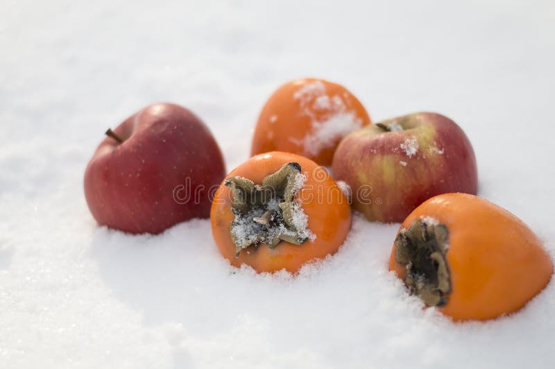Persimmons and Apples in the Snow Stock Photo - Image of sweet, ripe ...