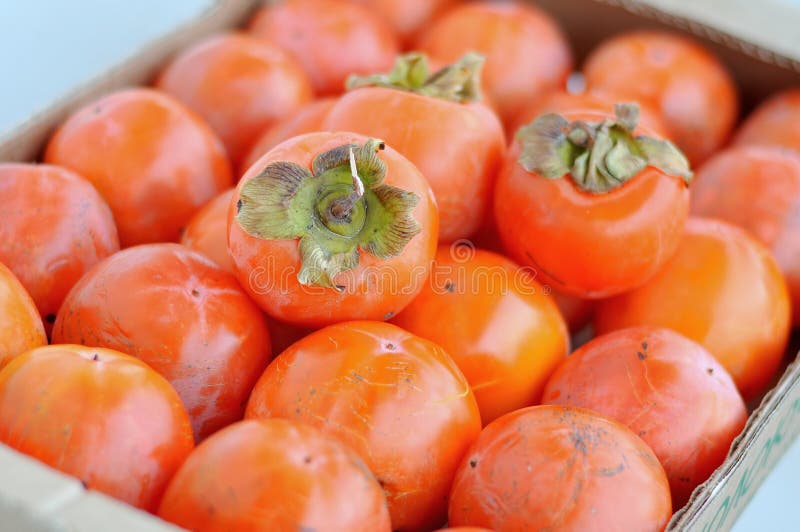Persimmons in a box stock image. Image of edible, healthy - 23525735
