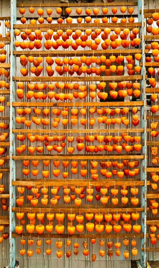 Persimmons on a Drying Rack Orange Autumn Summer Stock Photo - Image of ...