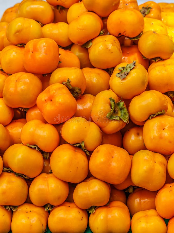 Persimmons fruit stock image. Image of orange, diet, tropical - 70108941
