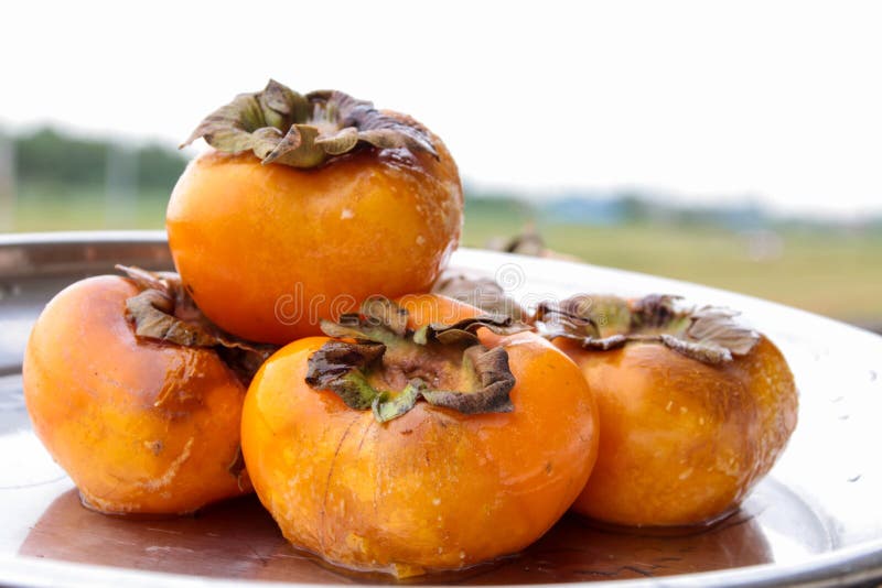 Rotten persimmons stock photo. Image of decomposed, kaki - 17734744