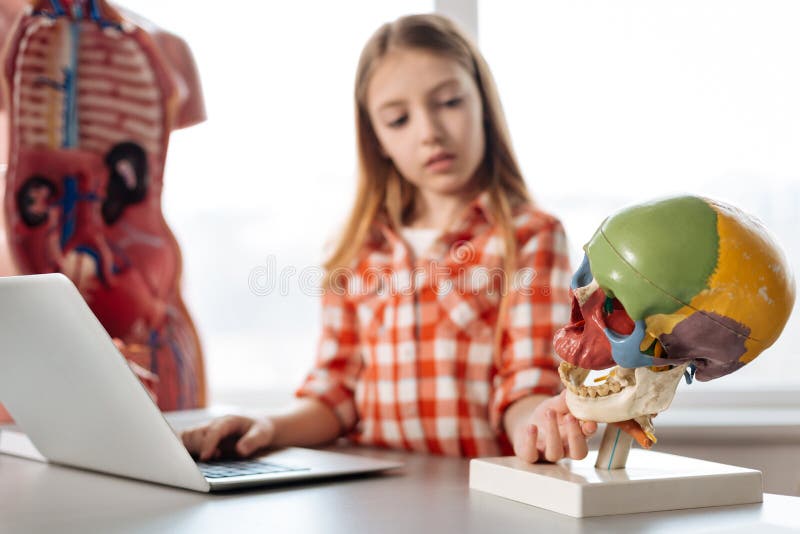 Persistent Incredible Student Using Her Gadget for Studying Stock Photo ...