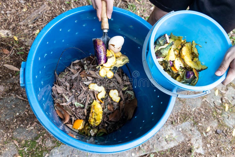 Kitchen Organic Waste. Peels from Fruits and Vegetables. Kitchen Waste ...