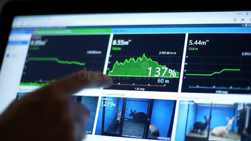 Person Analyzing Data on a Computer Screen Displaying Various Graphs and Statistics in a Modern ...