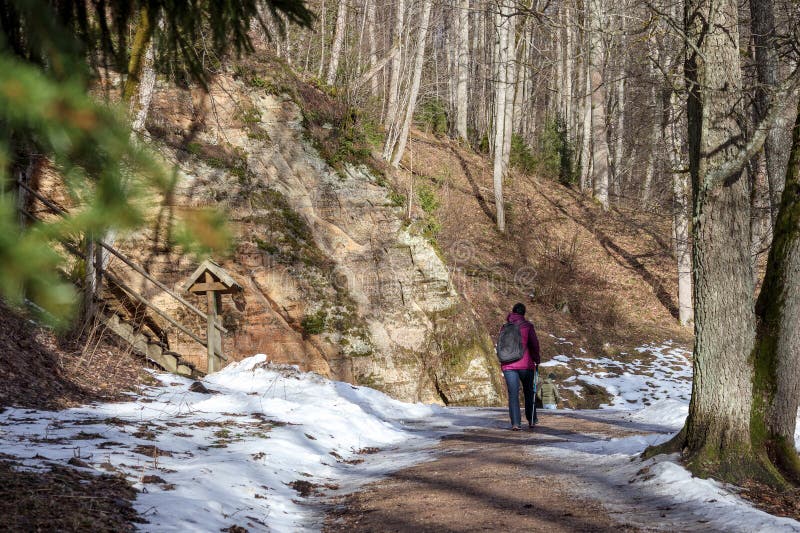 .a Person with a Backpack Walking Along a Trail in a Snowy Forest Along ...