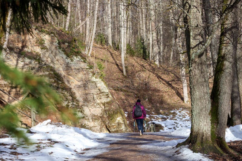 .a Person with a Backpack Walking Along a Trail in a Snowy Forest Along ...
