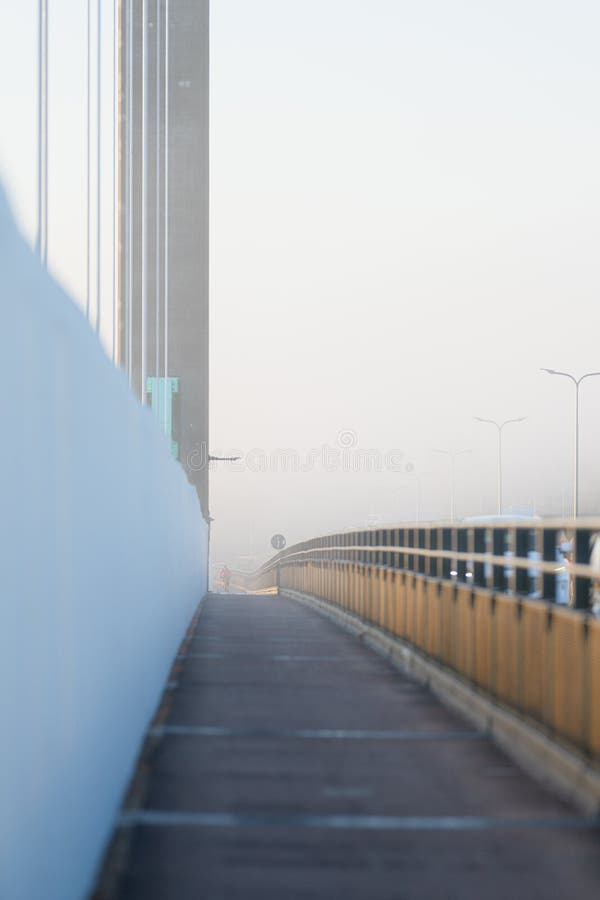 Person Bicycle Road Over Bridge Fog Stock Photos - Free & Royalty-Free ...