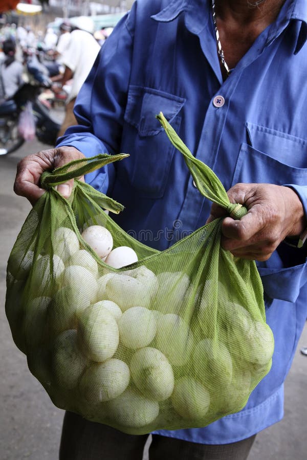 Person Carrying Eggs in a String Bag Stock Photo - Image of outdoors ...