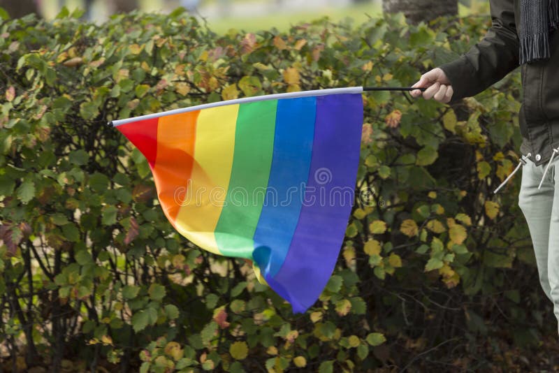 Person Carrying Rainbow Flag Stock Photo - Image of yellow, flag: 127774084