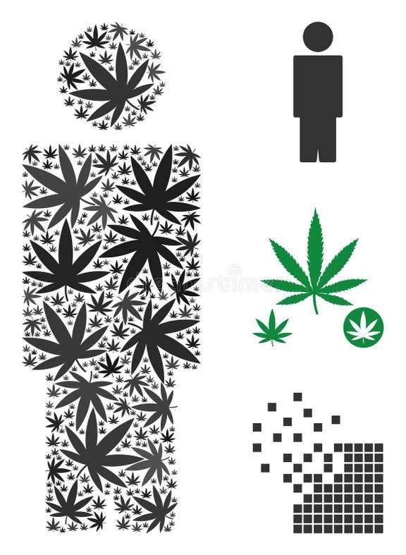 Person Collage of Hemp Leaves Stock Vector - Illustration of marihuana ...
