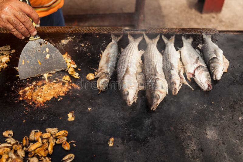 Person Cooking Mussels and Fish on a Grill Stock Photo - Image of ...