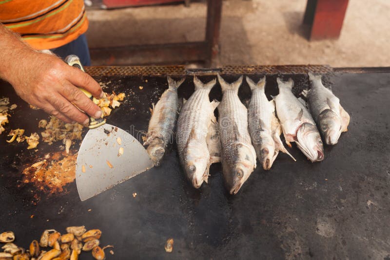 Person Cooking Mussels and Fish on a Grill Stock Photo - Image of grill ...