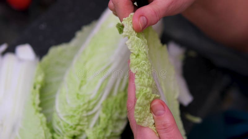 Person Cutting a Cabbage on Kitchen Board Using a Knife. Close Up Shot ...