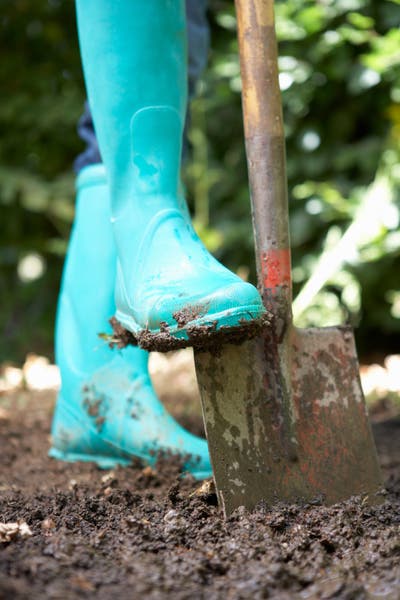 Person digging in garden stock photo. Image of depth - 21590682