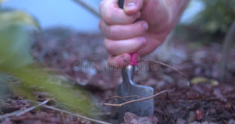 Person Digging on the Ground with Use of a Trowel Stock Footage - Video ...