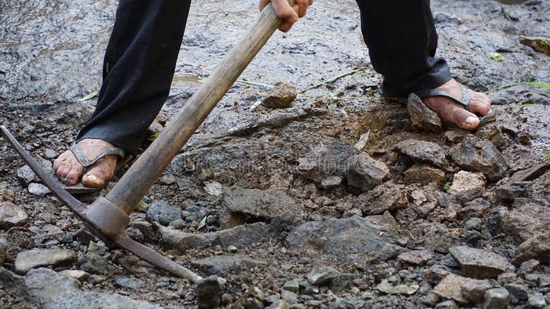 Person digging in garden stock image. Image of garden - 21590707
