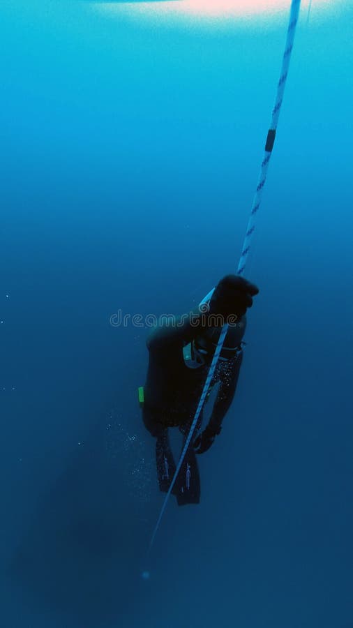Person Diving Underwater Picture. Image: 82997485