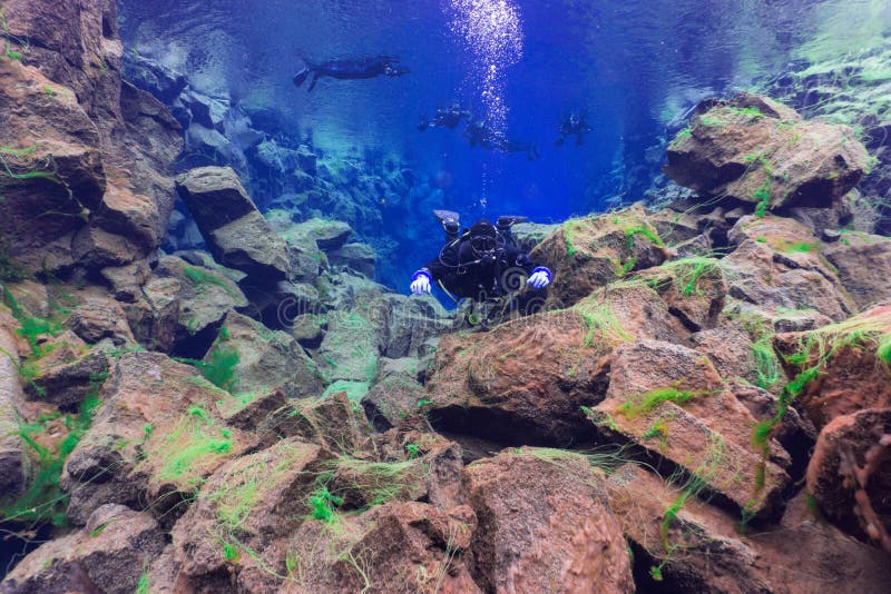 Person Diving Underwater in Silfra, Iceland Stock Photo - Image of ...