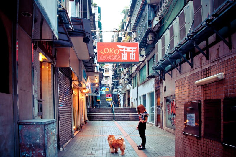 Person with Dog Walking in Macau Editorial Photography - Image of ...