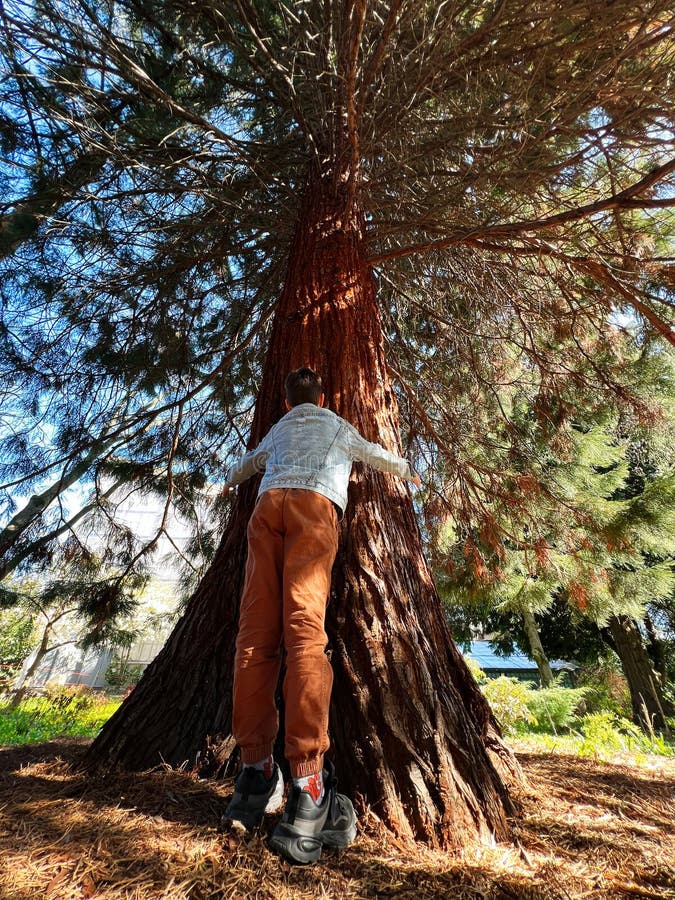 Natural Grounded World Stock Photos - Free & Royalty-Free Stock Photos ...