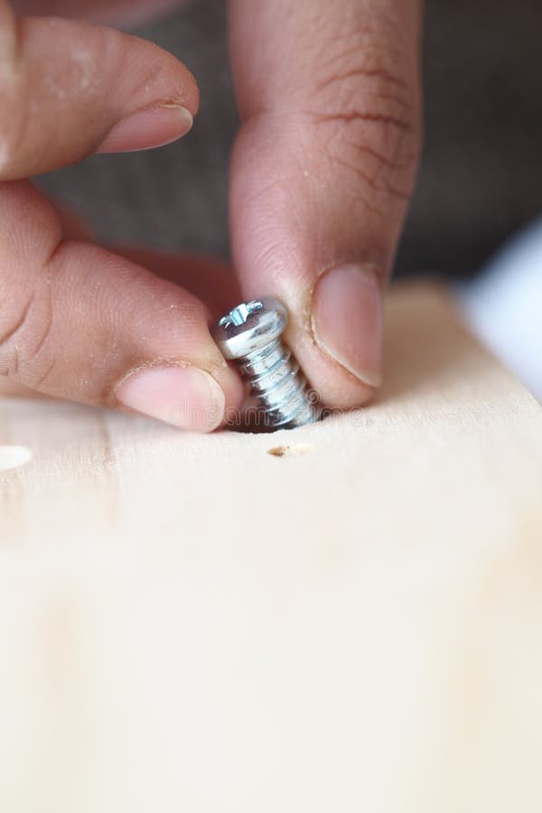 Hands Working on Securing a into a Wooden Surface Stock Photo - Image ...