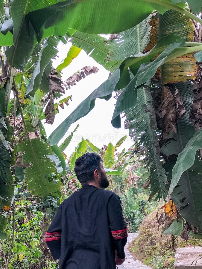 Person in the Forest, Man in the Jungle Editorial Photography - Image ...