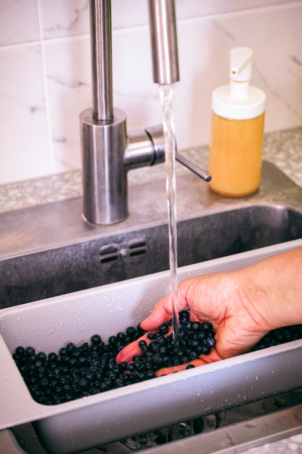 Person Hand Washing Blueberries in Kitchen Sink Stock Photo - Image of ...
