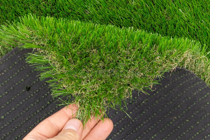 Hand Holding Edge of Artificial Grass Roll Stock Image - Image of ...