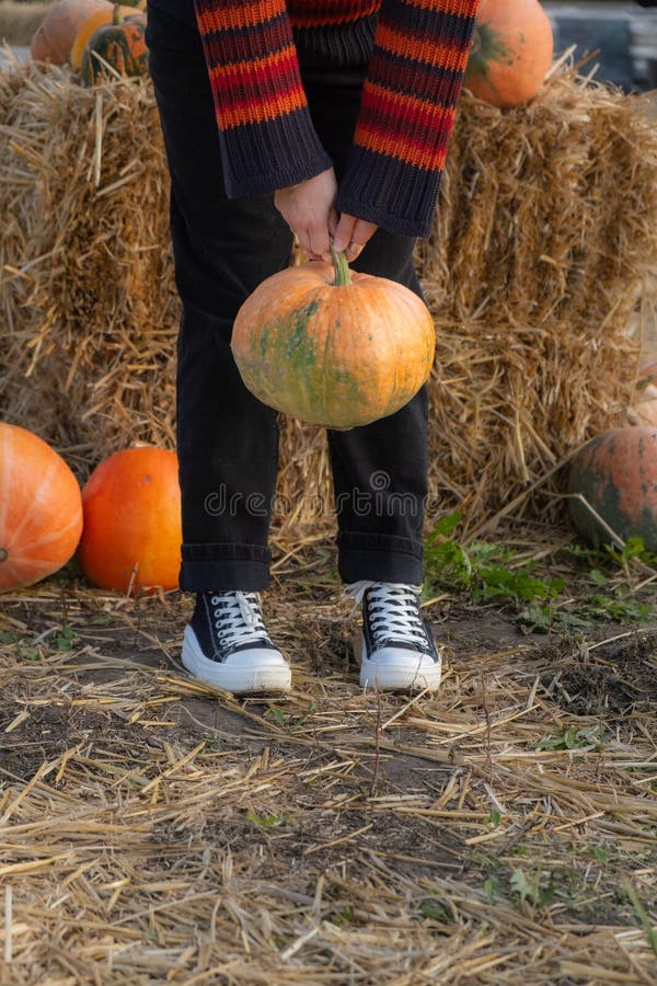 Person Holding a Large Orange Pumpkin by the Stem Stock Image - Image ...