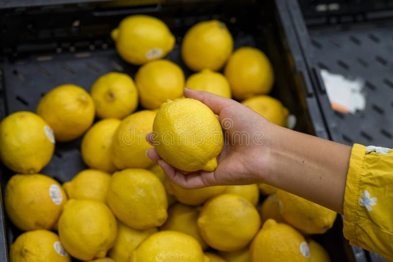 Person holding a lemon stock image. Image of girl, marketplace - 287557371