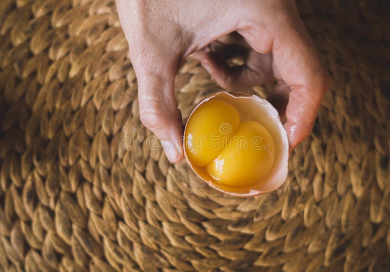 Person Holding a Raw Egg with Two Yolks Stock Photo - Image of dinner ...