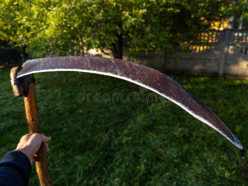 A Person Holding a Scythe in Their Hand in the Grass Stock Photo ...