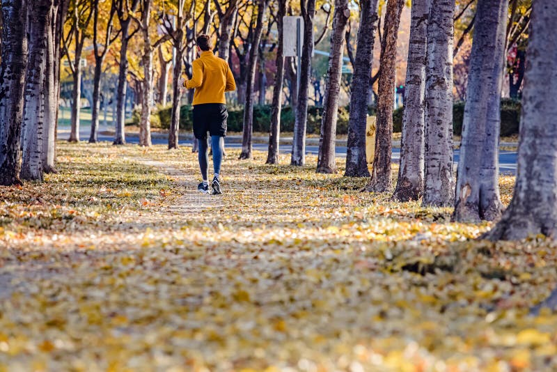 Person Jogging Leaf Covered Path Stock Photos - Free & Royalty-Free ...
