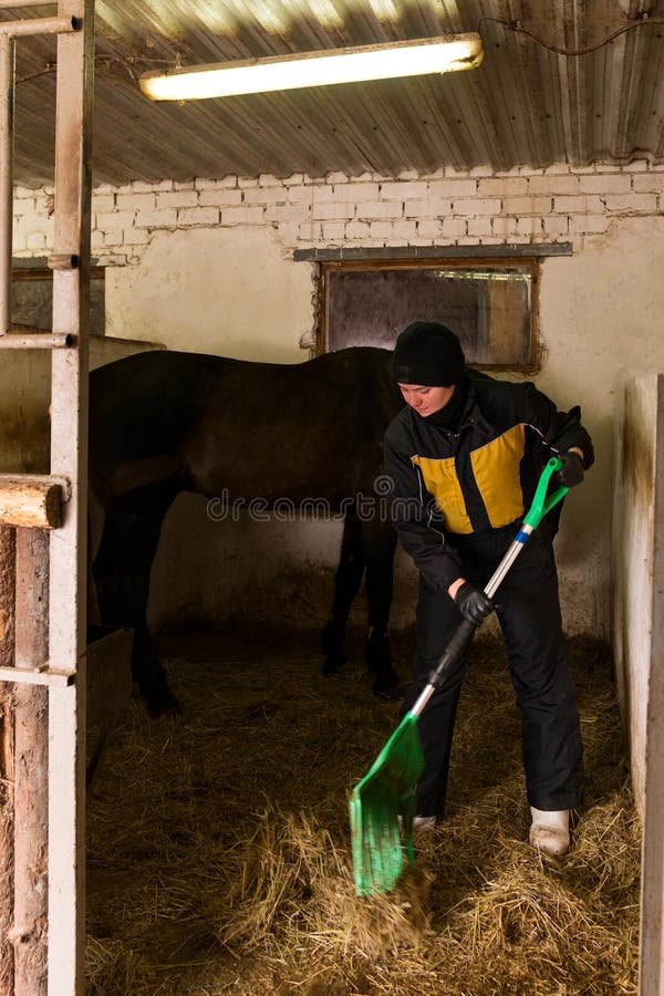 Person Mucking Out Stable with Horse Stock Image - Image of equine ...