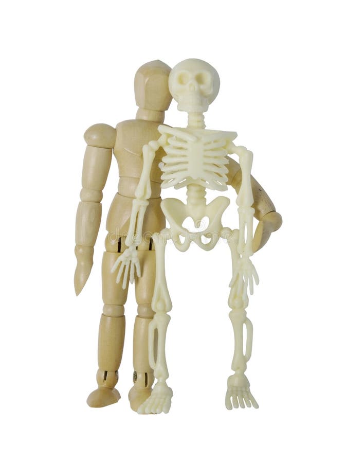 Person next to Skeleton stock image. Image of skeleton - 70049403