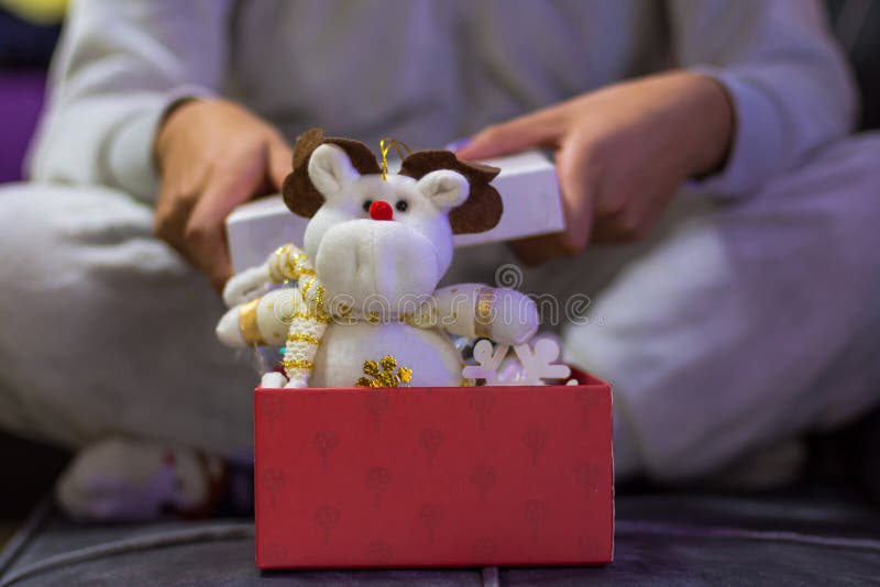 Person Opening a Christmas Gift Box and a Teddy Bear Inside Stock Image ...