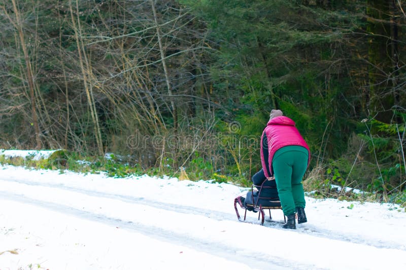 Person Pulling a Sled through a Snowy Forest Path. Winter Activity and ...